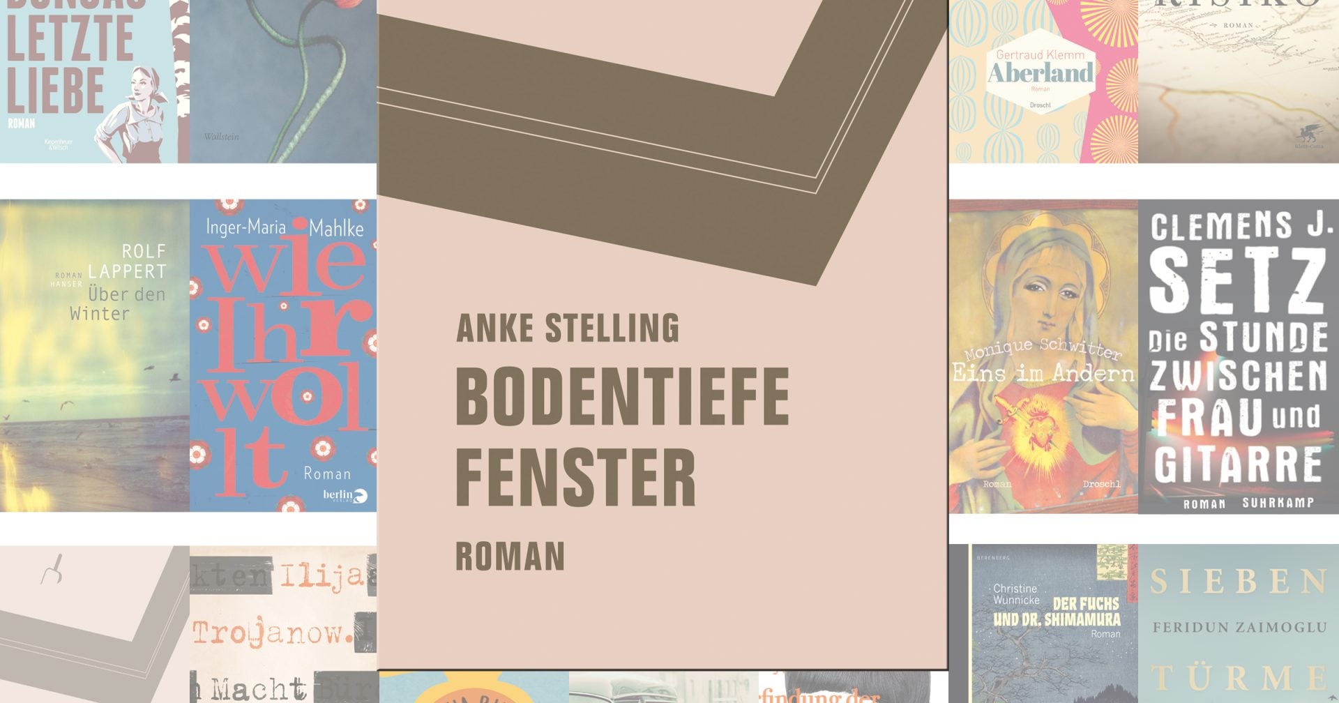 Longlist Deutscher Buchpreis | Anke Stelling – "Bodentiefe Fenster ...