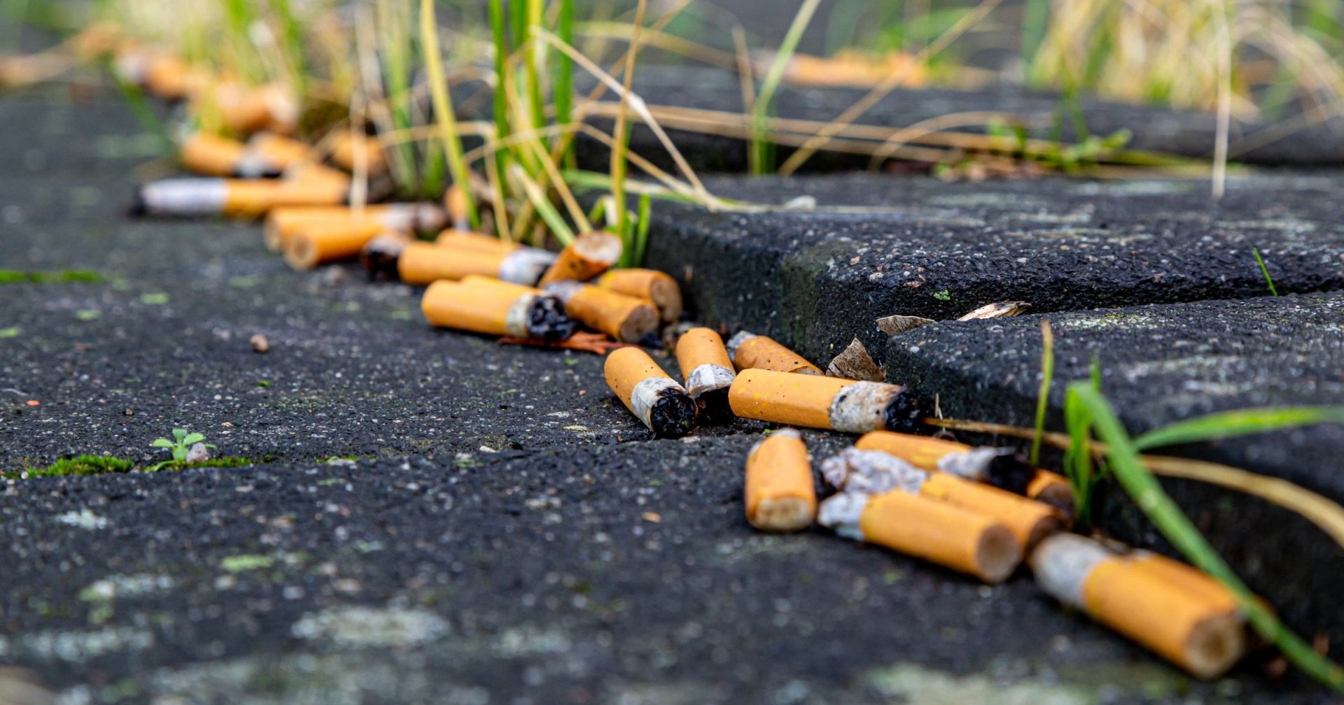 Spektrum-Podcast | Rauchen – "Eine Kippe kontaminiert 1.000 Liter ...